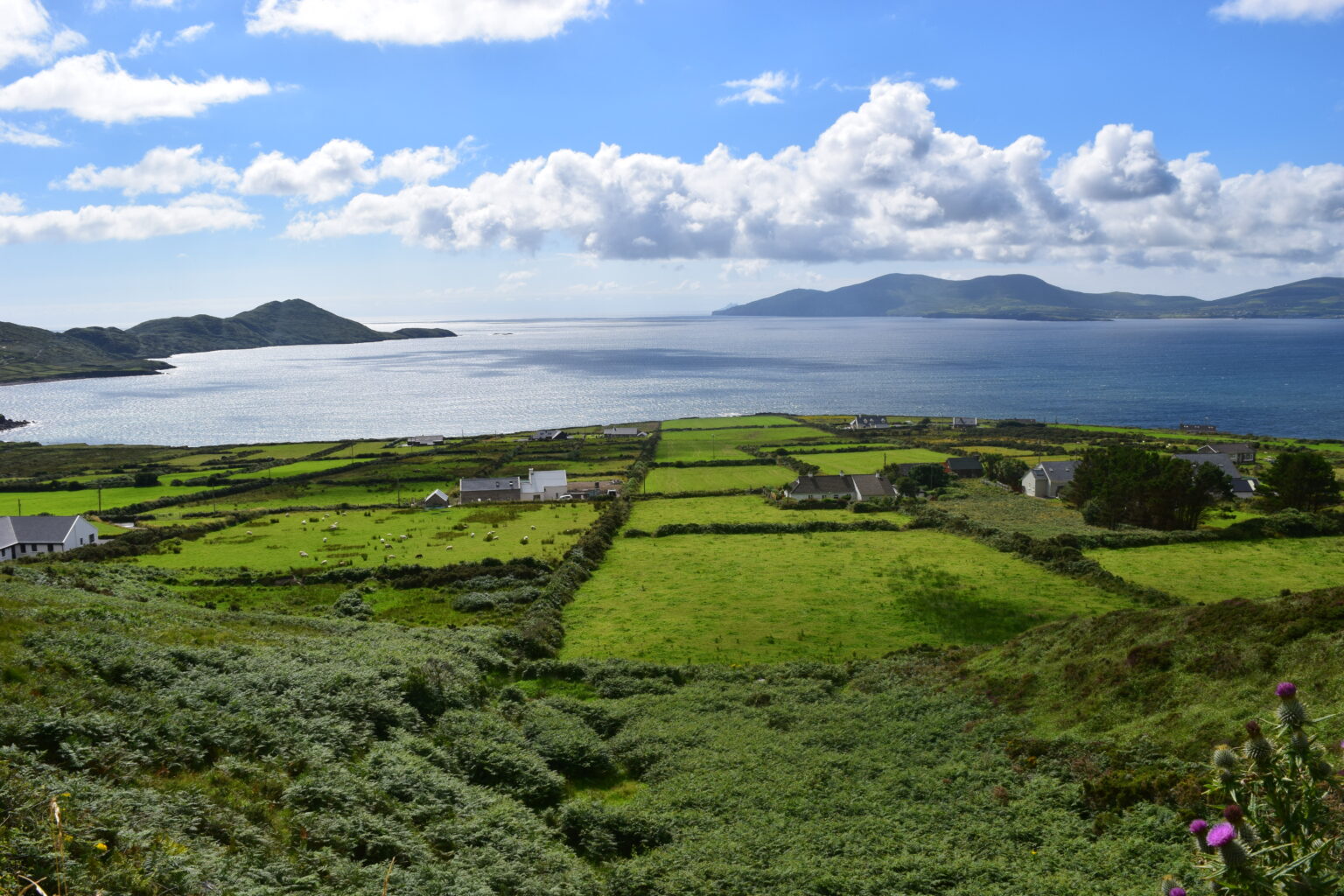 Amazing Things to Do in Killarney Ireland
