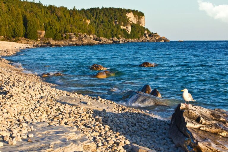 15 Epic Things to Do in Tobermory (2026)