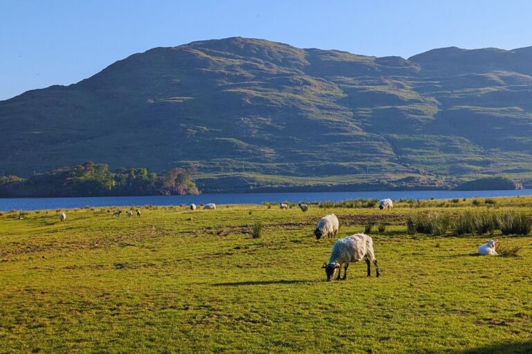 Ireland in May: What You Need to Know