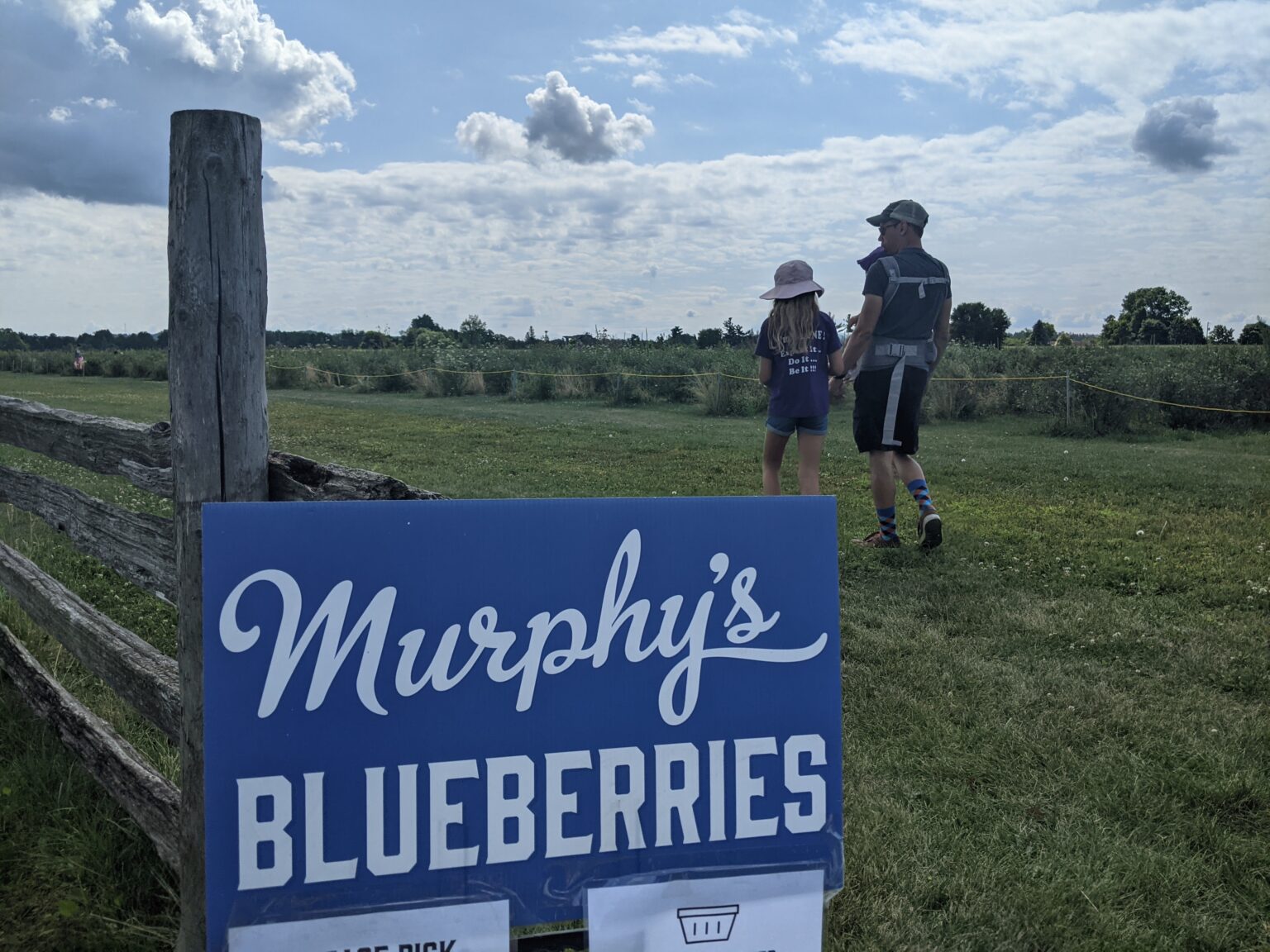 Is Alliston a Good Place to Live? (2025)