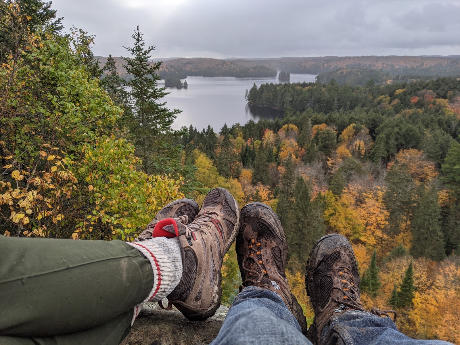 Fall in Algonquin Park: What You Need to Know (2025)