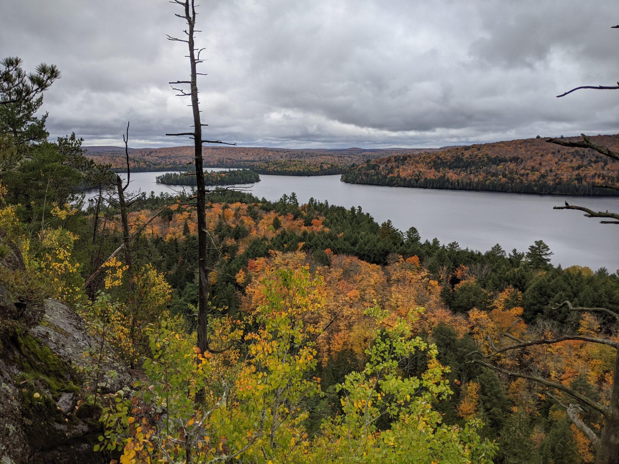 Fall in Algonquin Park: What You Need to Know (2025)