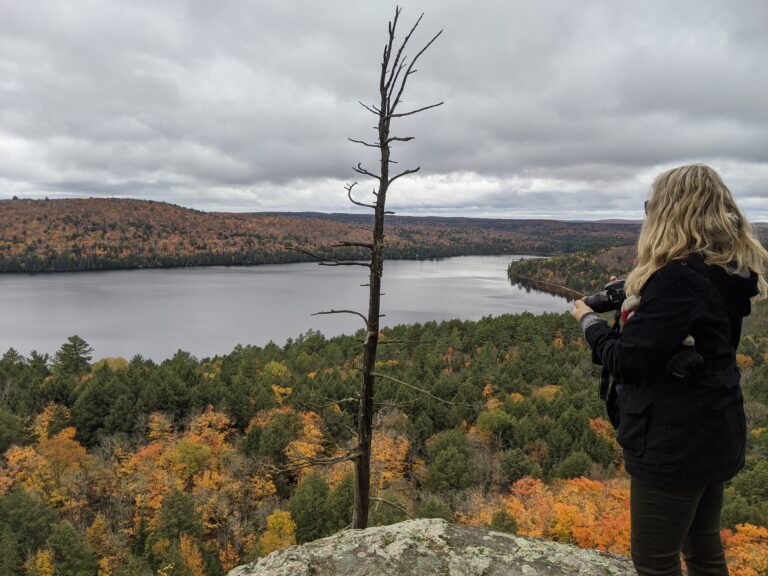 Fall in Algonquin Park: What You Need to Know (2025)