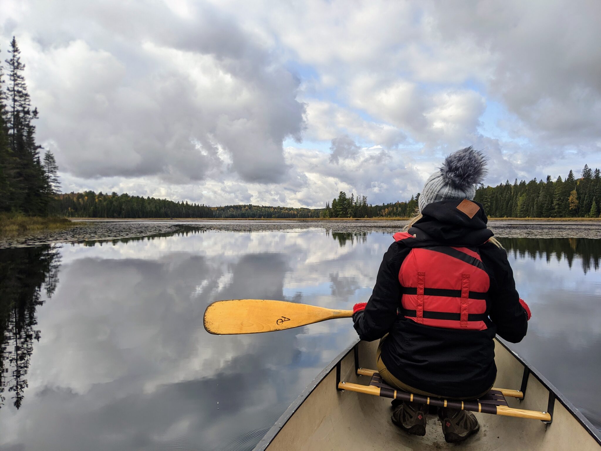 Fall in Algonquin Park: What You Need to Know (2025)