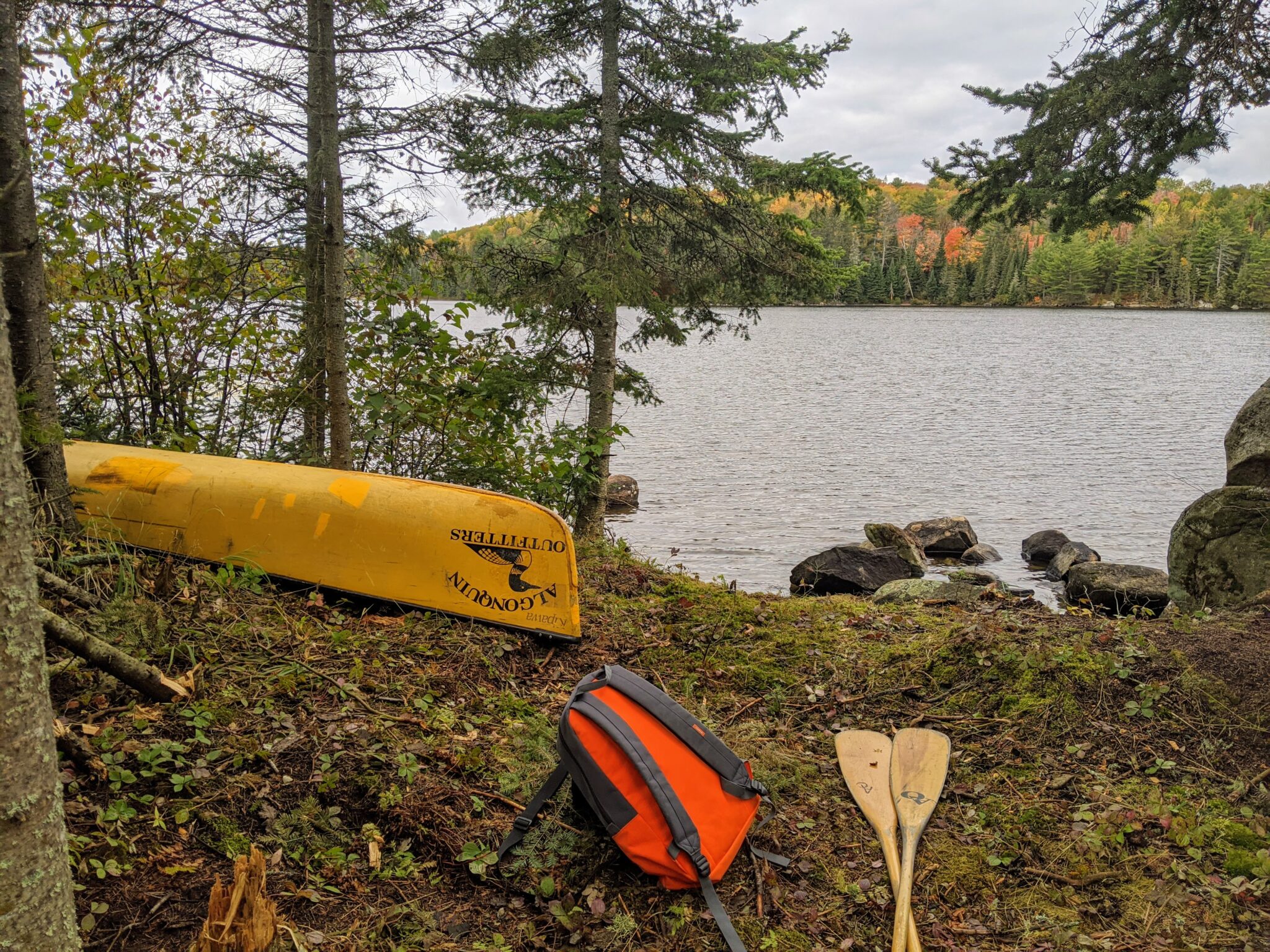 Fall in Algonquin Park: What You Need to Know (2025)