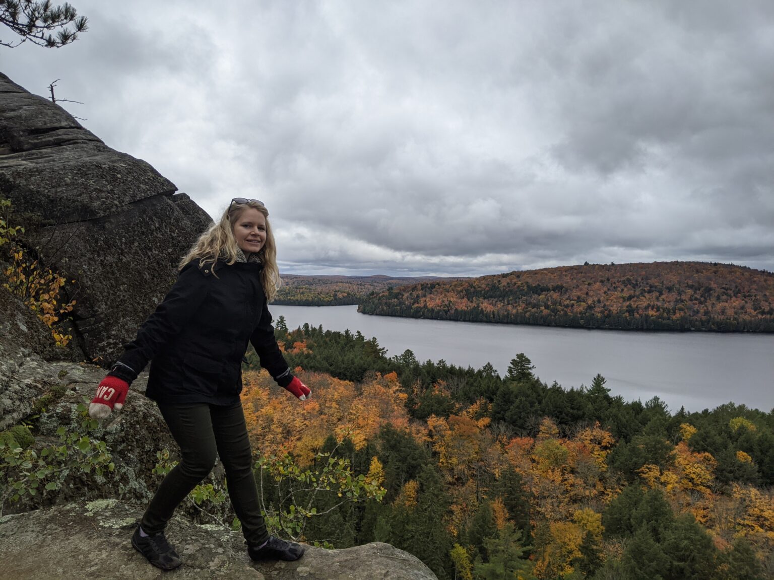 Fall in Algonquin Park: What You Need to Know (2025)