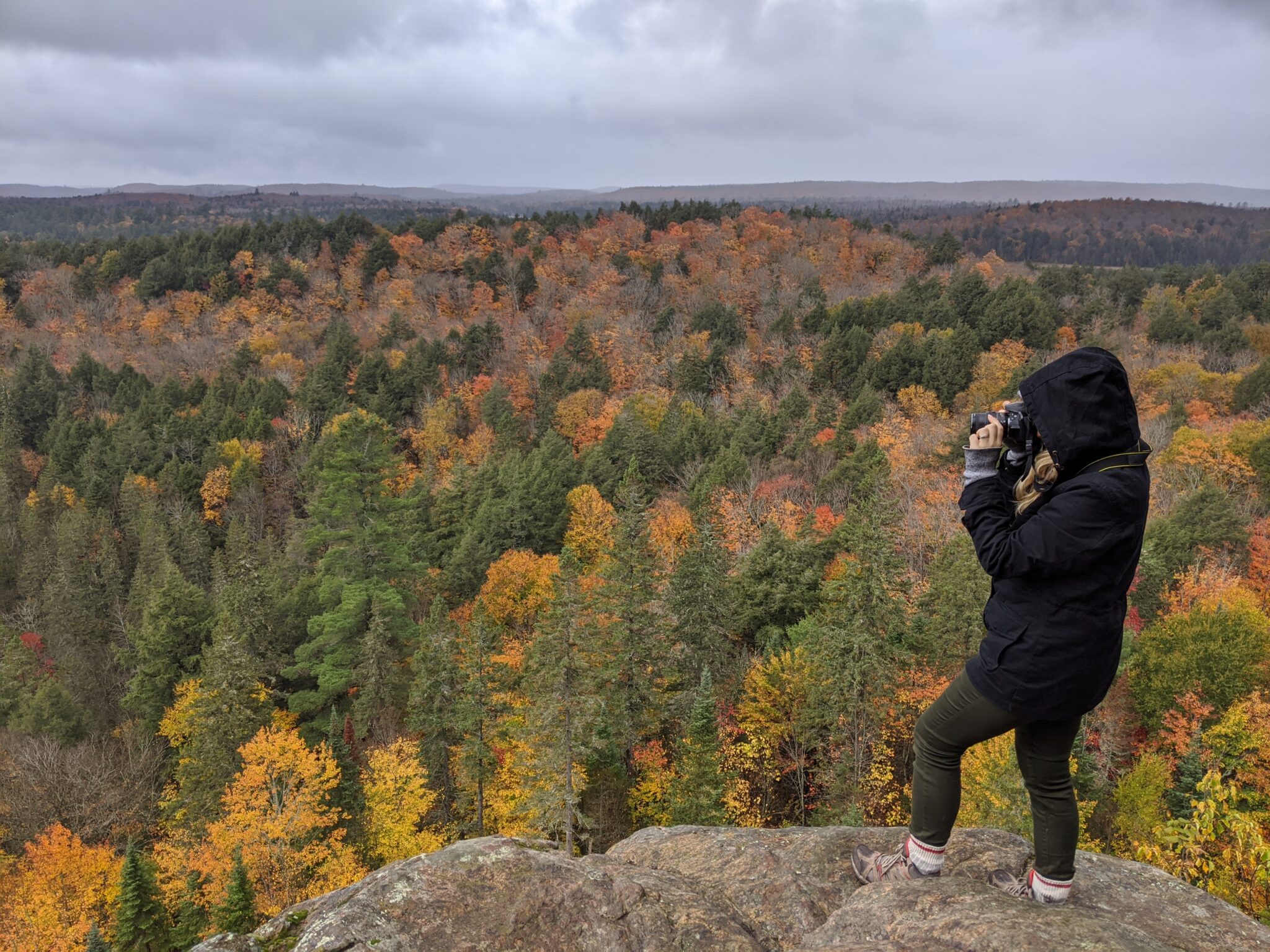 Fall in Algonquin Park: What You Need to Know (2025)