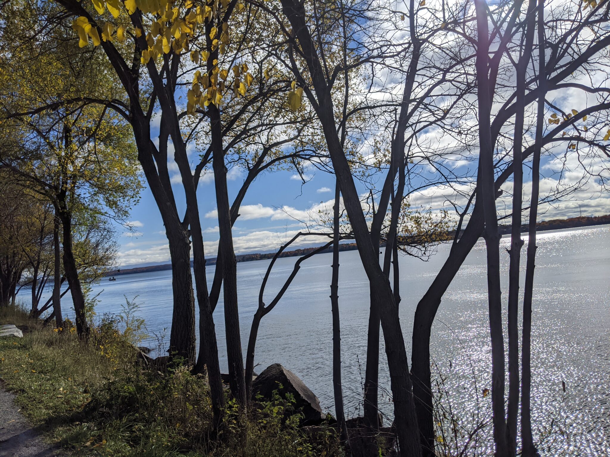 29 Fun Things to Do in Barrie, Ontario (From a Local) - Tiny Footsteps ...