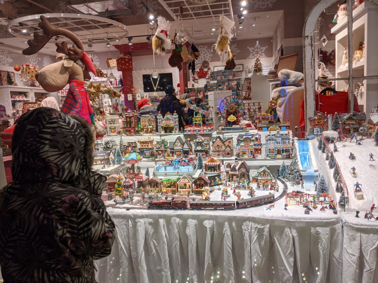 27 Unique Souvenirs from Canada in 2024 (from a Canadian)
