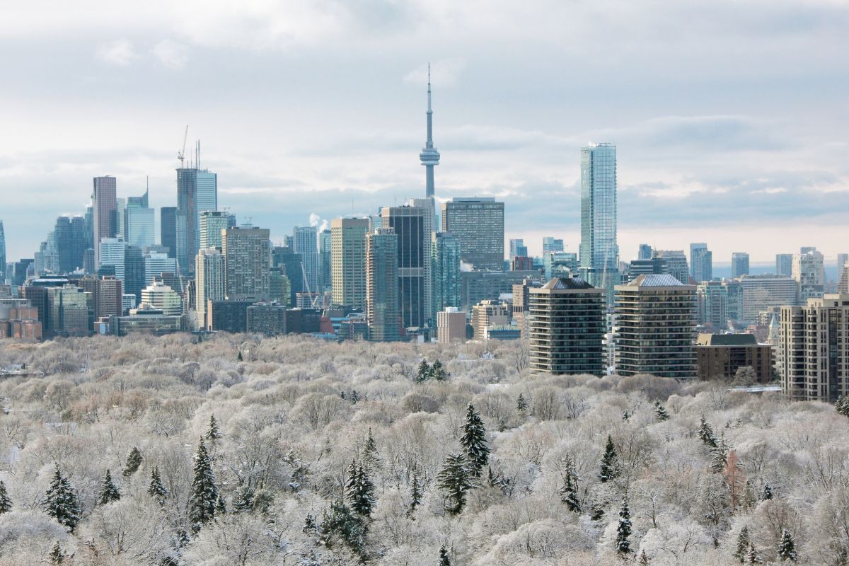 Is Toronto safe in 2025? (From a Local)