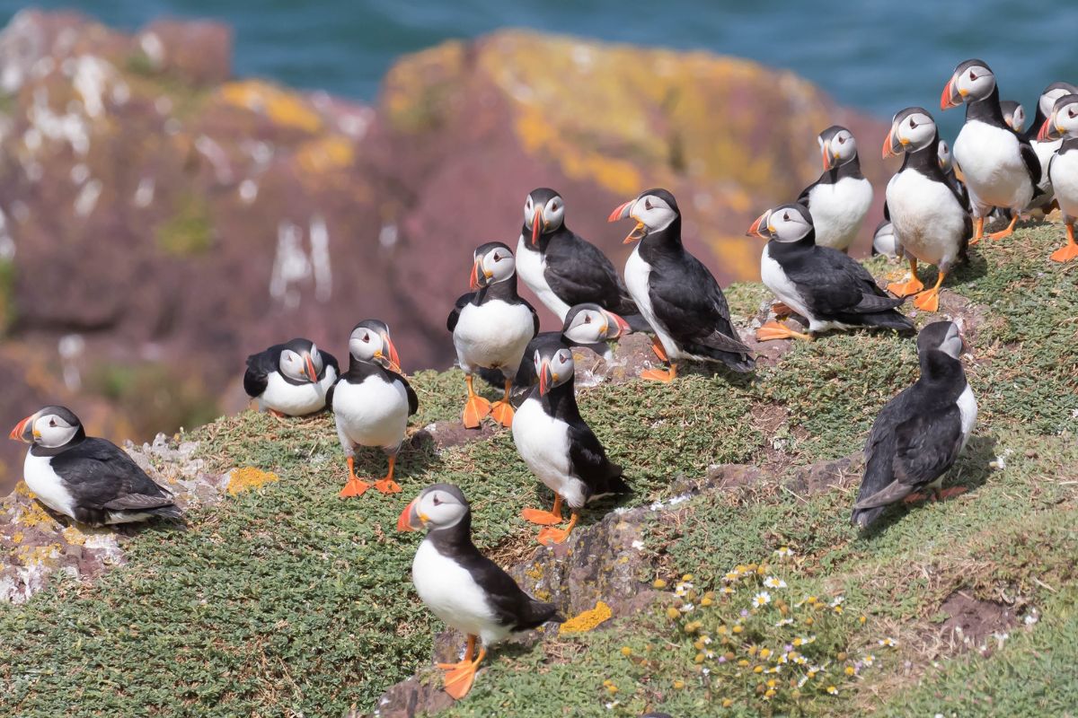 15 Reasons Why Iceland Is Worth Your Time