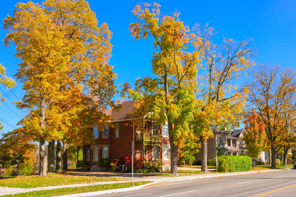 36 Most Charming Small Towns in Ontario (2024)