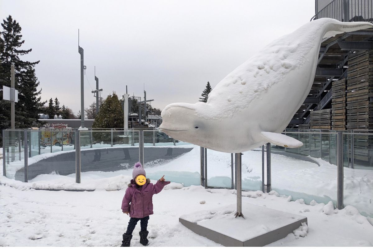 Quebec City Aquarium: Tips For Visiting + Everything You Need to Know ...