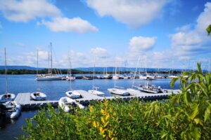 Things to Do in Collingwood, Ontario (Expert Guide)