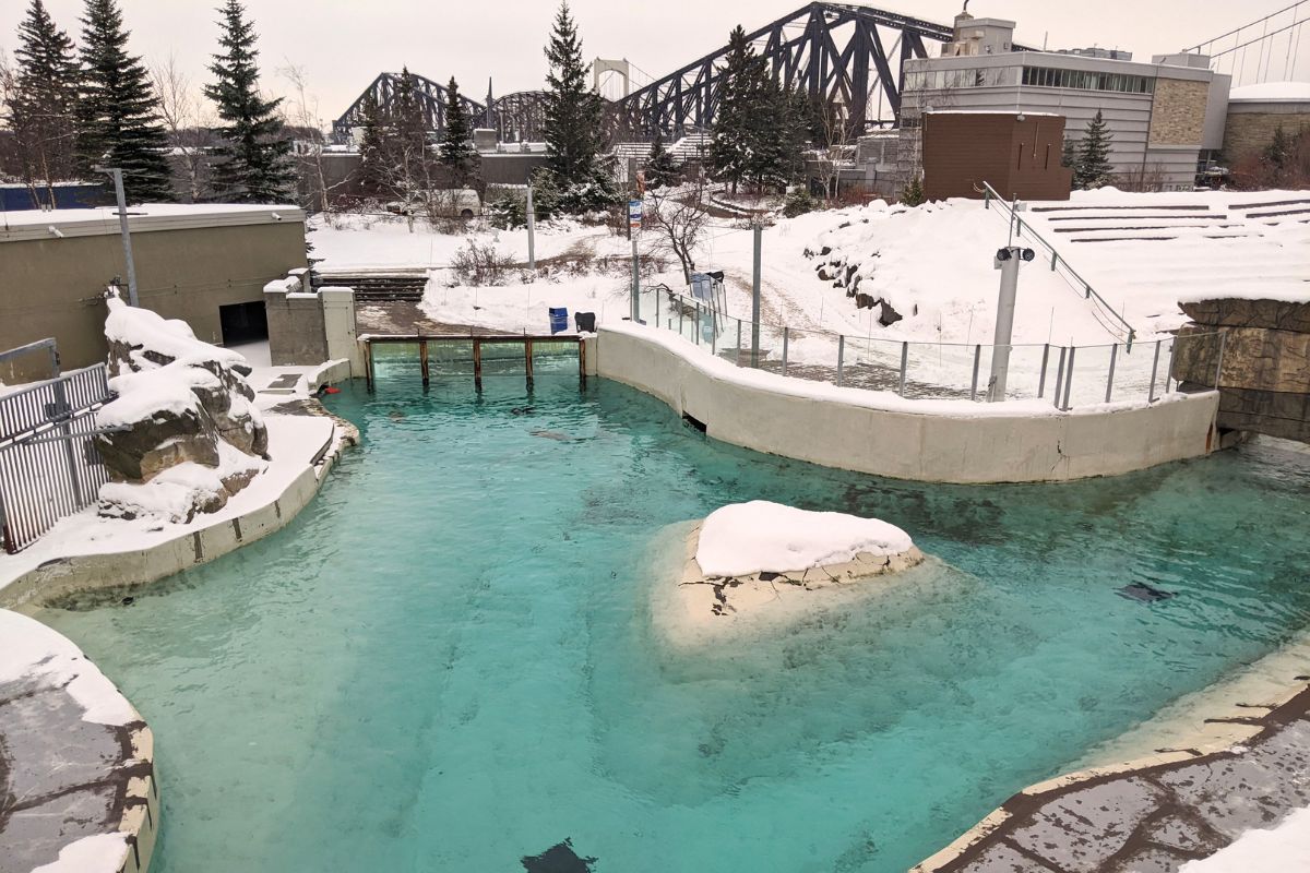Quebec City Aquarium: Tips For Visiting + Everything You Need to Know ...