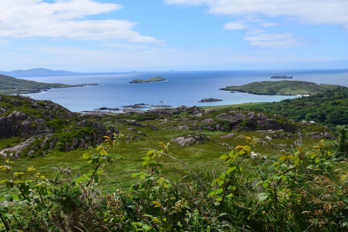 15 Amazing Books That Take Place in Ireland (2025)