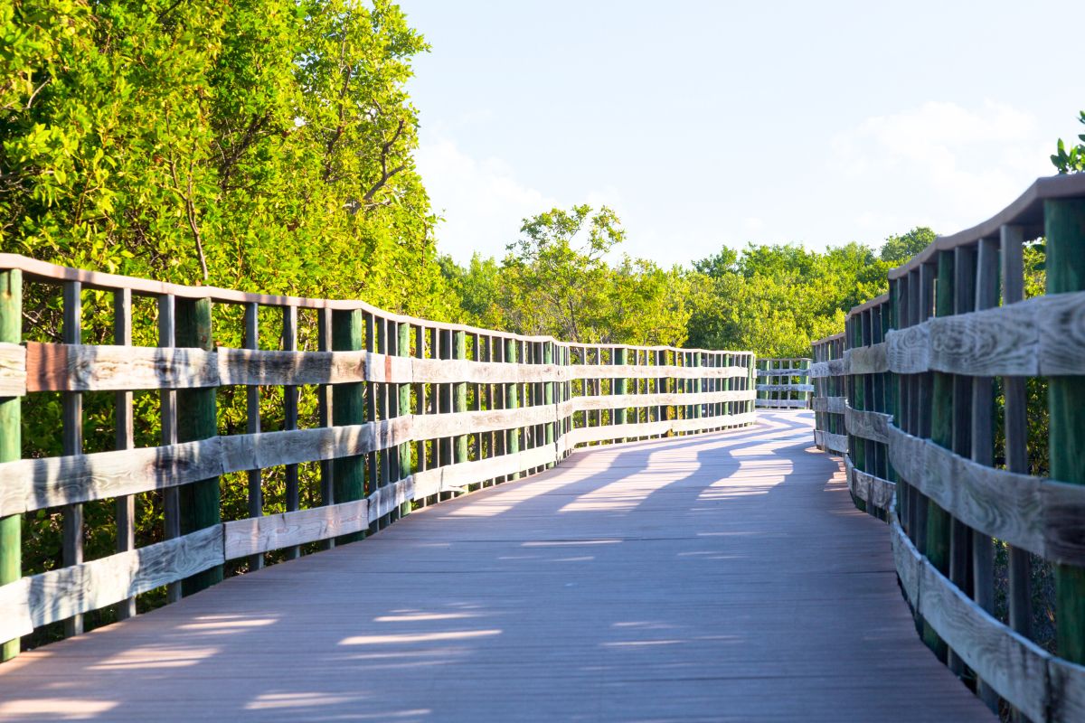 17 Great Things to Do in the Florida Keys with Kids