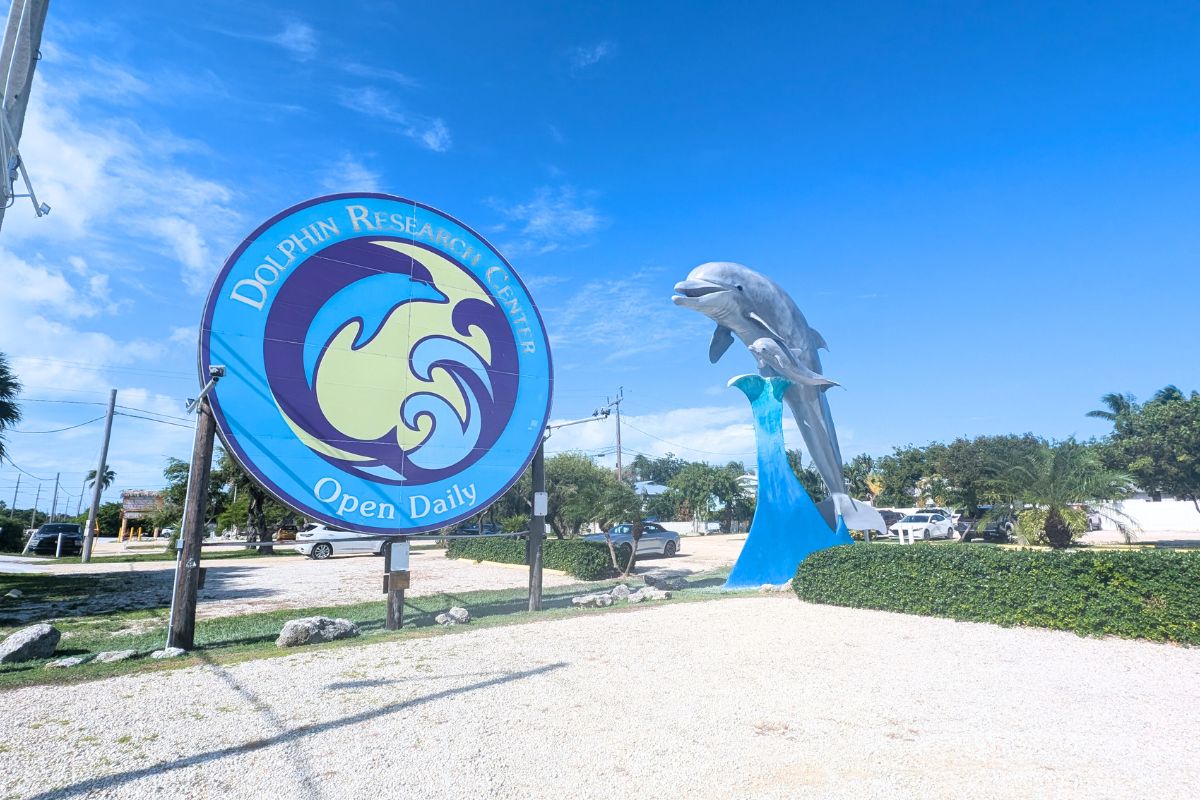 17 Things to Do in Marathon Florida (2025)