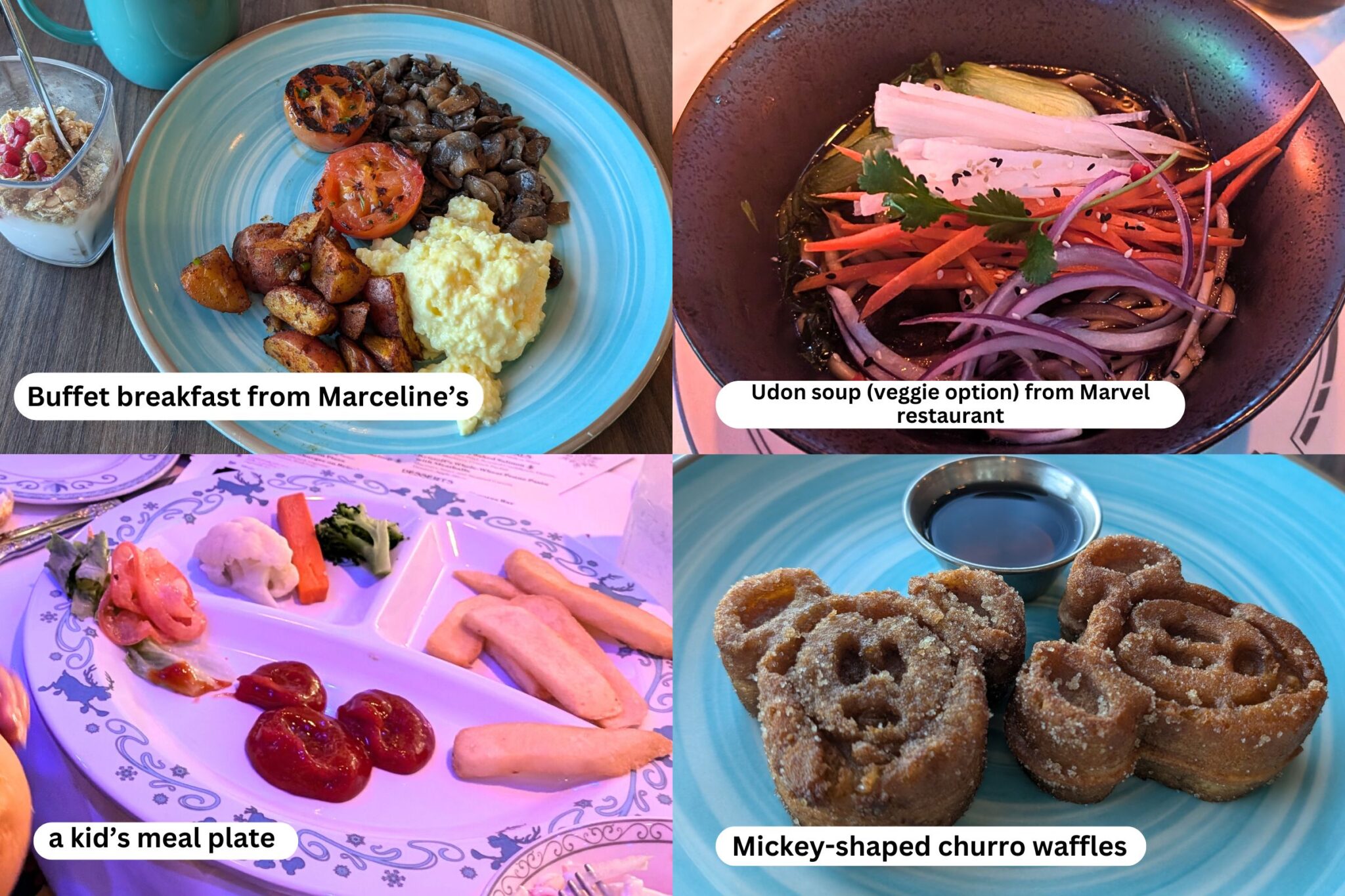 An Honest Disney Wish Review (2025)