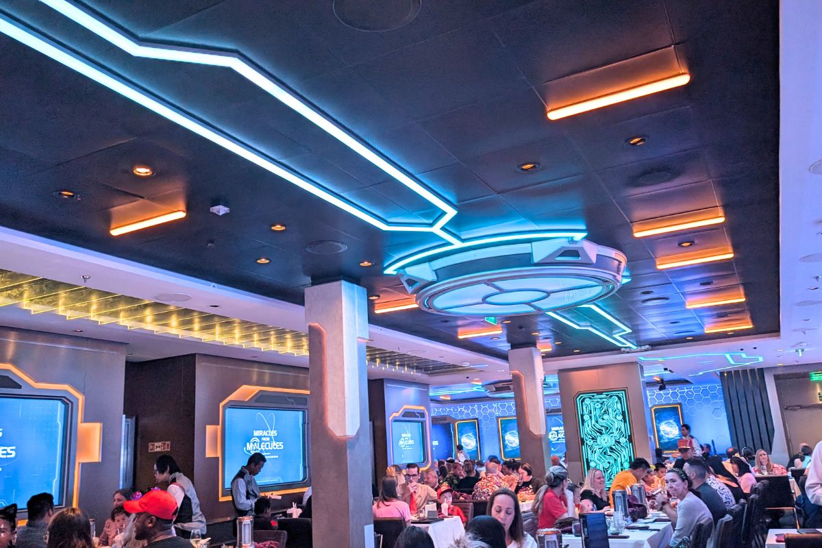 An Honest Disney Wish Review (2025)