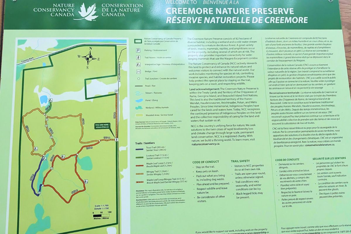 11 Things to Do in Creemore, Ontario