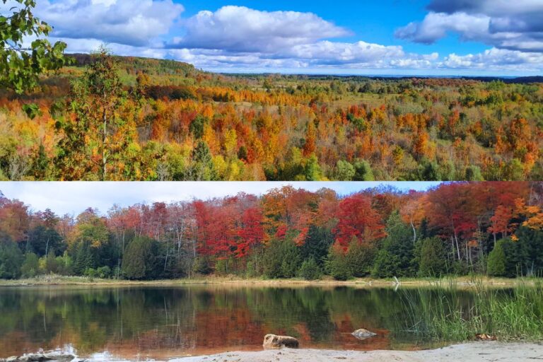 Best Hikes at Mono Cliffs Provincial Park + Guide