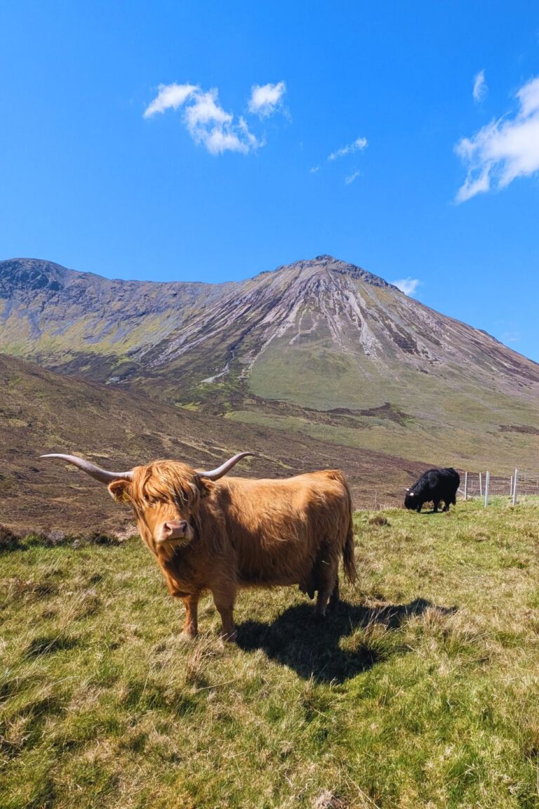 Scotland in May: Complete Guide
