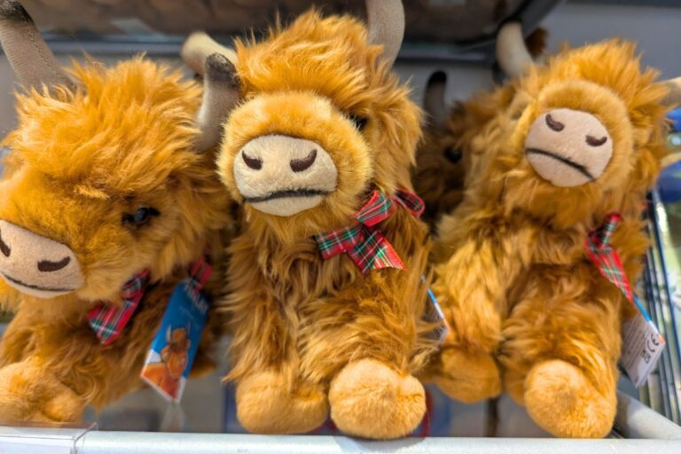 27 Special Souvenirs from Scotland