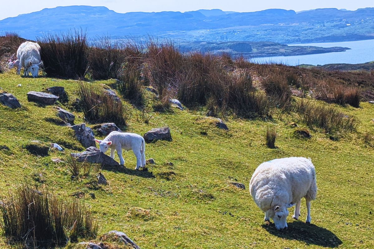 Scotland in May: Complete Guide