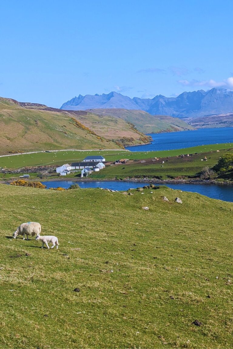 Scotland in May: Complete Guide
